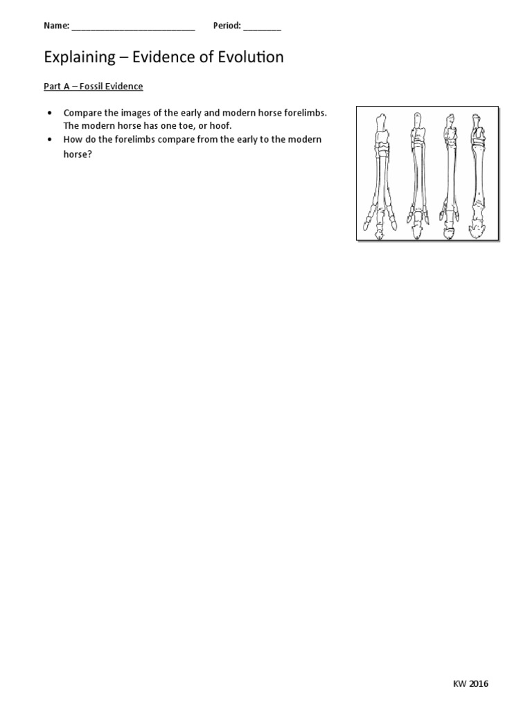 Explaining - Evidence of Evolution | PDF | Evolution | Homology (Biology)