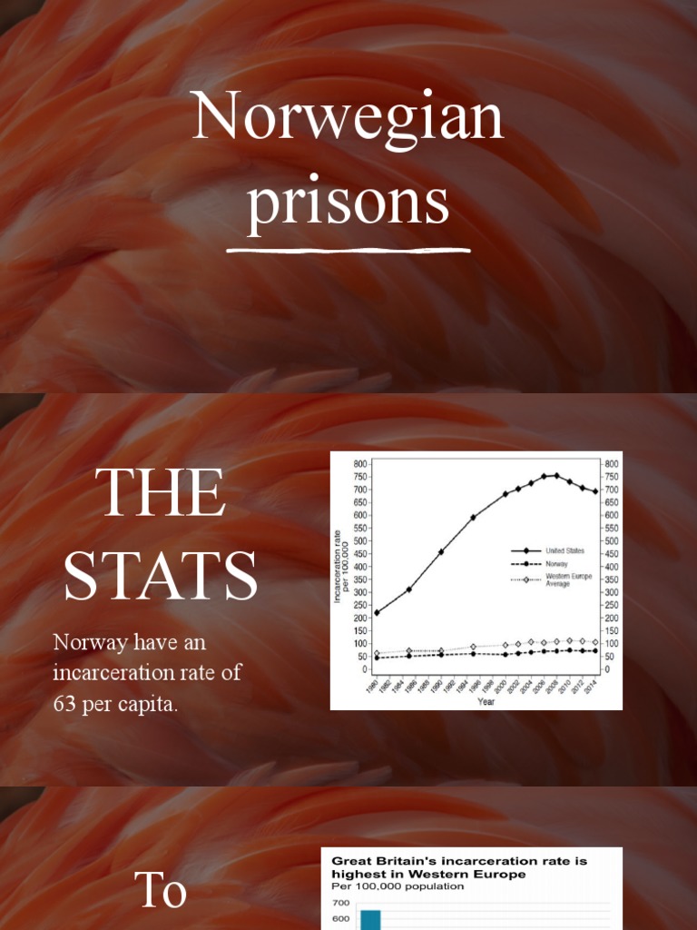 Norwegian Prison System | PDF | Solitary Confinement | Prison
