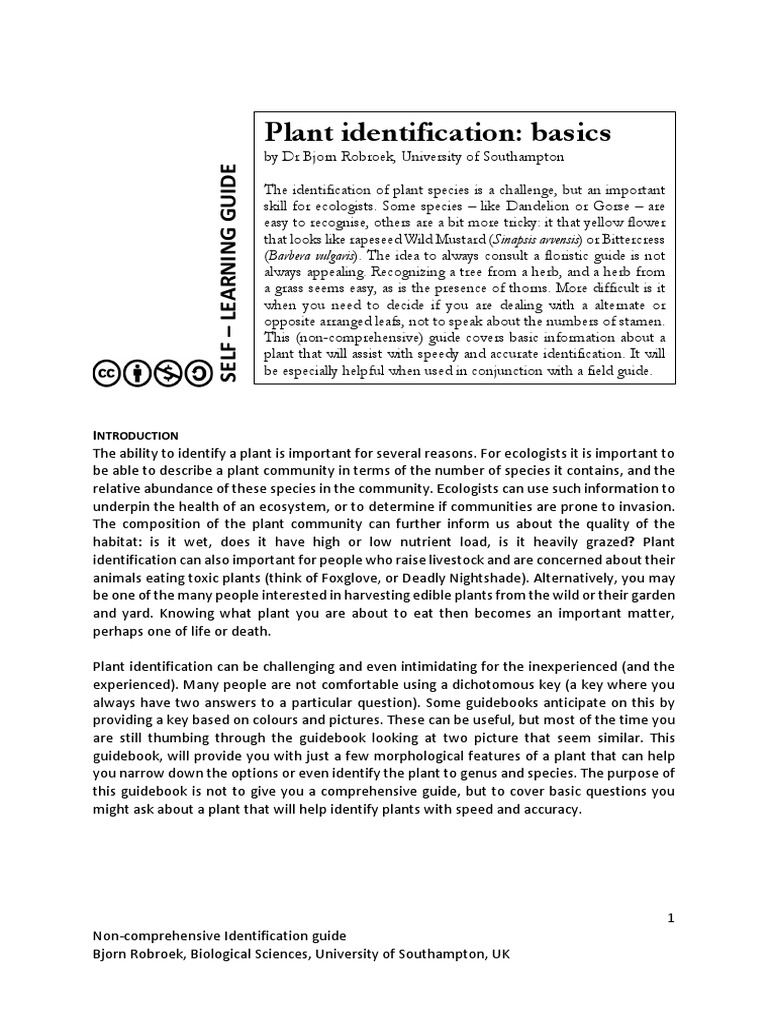 Plant Identification Basics | PDF | Leaf | Flowers