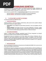 Momentix HPB para Que Sirve y Sus Efectos Secundarios - Buscar Con ...