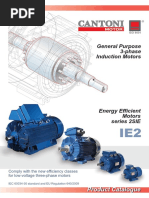 1TZ9 IE3 Lonne Motors Rev2 2015 | PDF | Cast Iron | Manufactured Goods