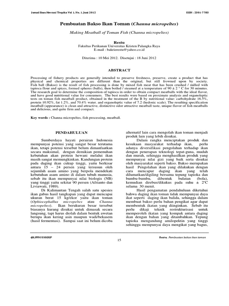 Proses Pembuatan Bakso Ikan | PDF