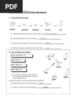 Dichotomous Key Practice Worksheets | PDF | Foreign Language Studies