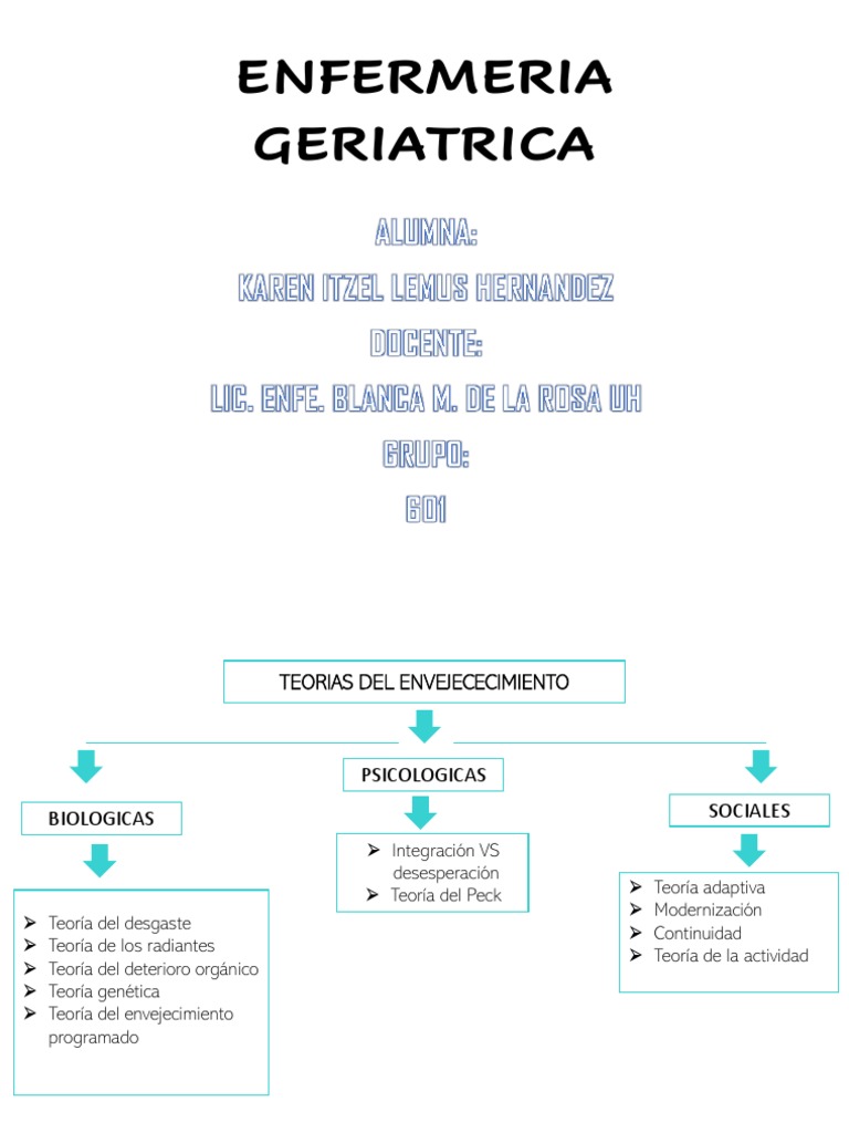 Mapa Conceptual Del Envejecimiento Pdf