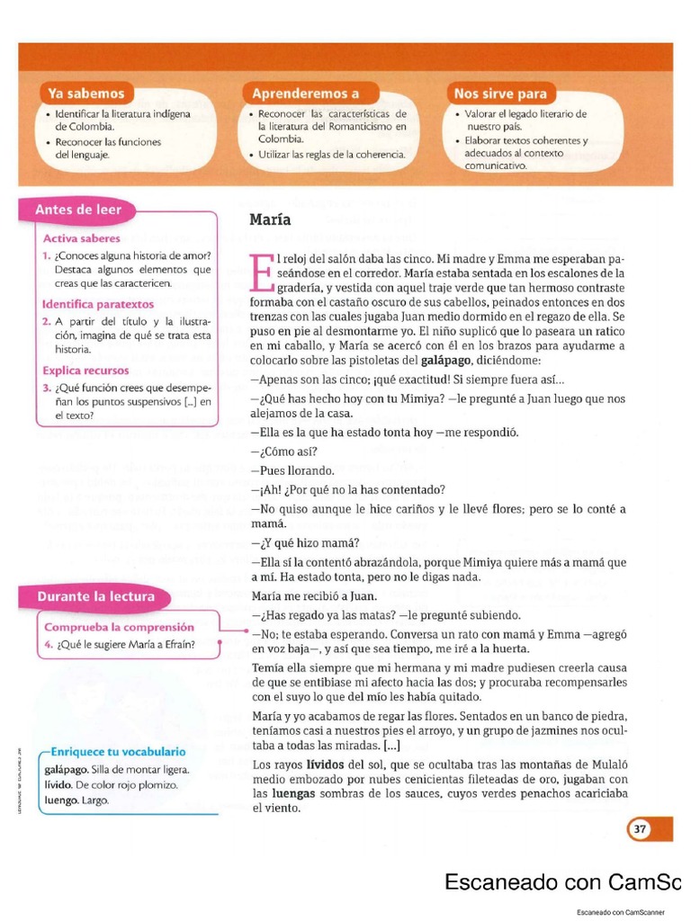 Vamos A Aprender Lenguaje 8° | PDF