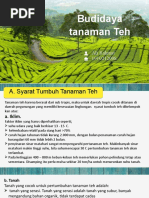 Klasifikasi & Morfologi Padi | PDF