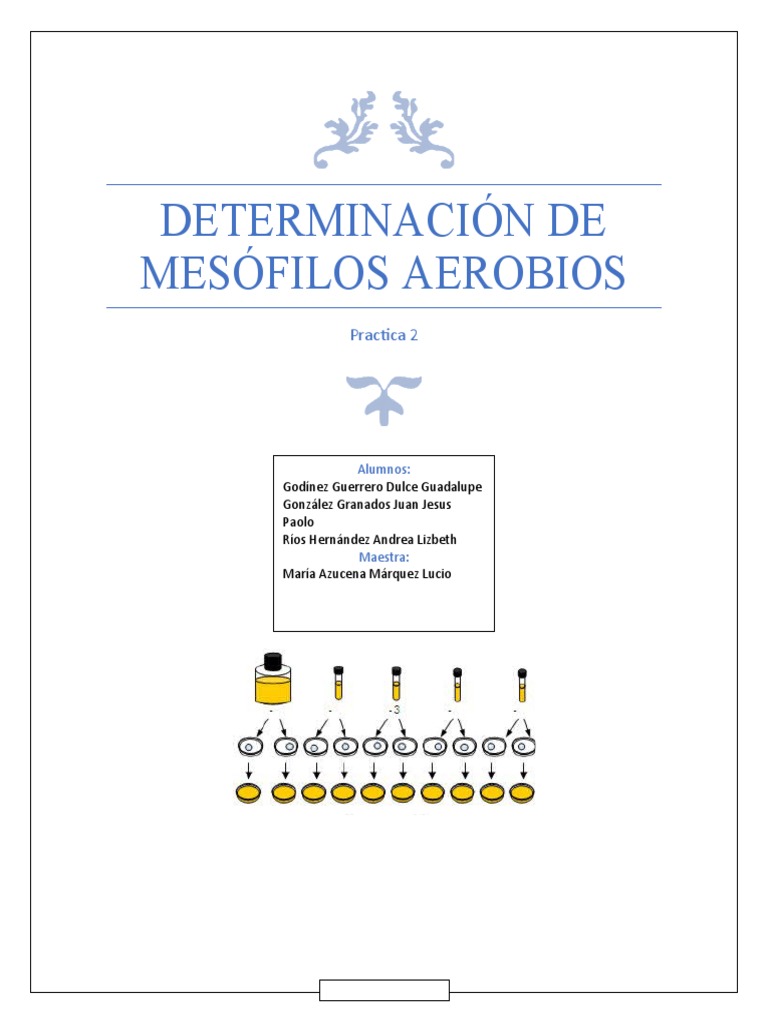 Practica 2-Determincion de Mesofilos Aerobios. | PDF | Unidad de ...