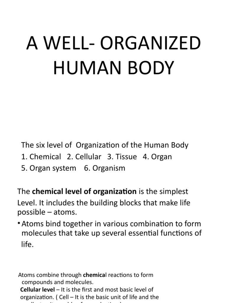 A Well Organized Human Body | PDF | Human Body | Tissue (Biology)