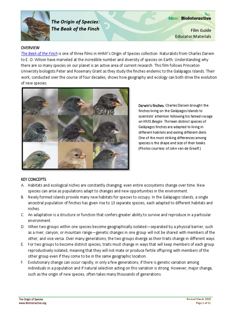 The Origin of Species: The Beak of The Finch | PDF | Evolution | Species