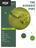 Family History Questionnaire | PDF | Grandparent | Genealogy