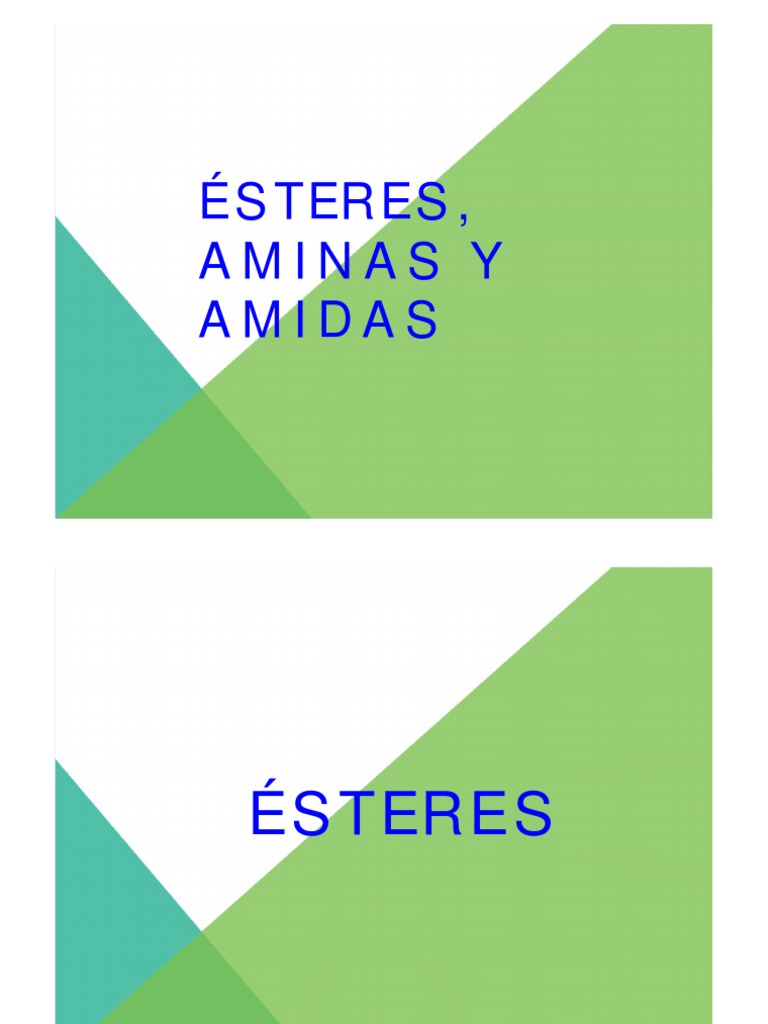 Módulo Tema 14 - Ésteres, Aminas y Amidas | PDF | Ester | Amida