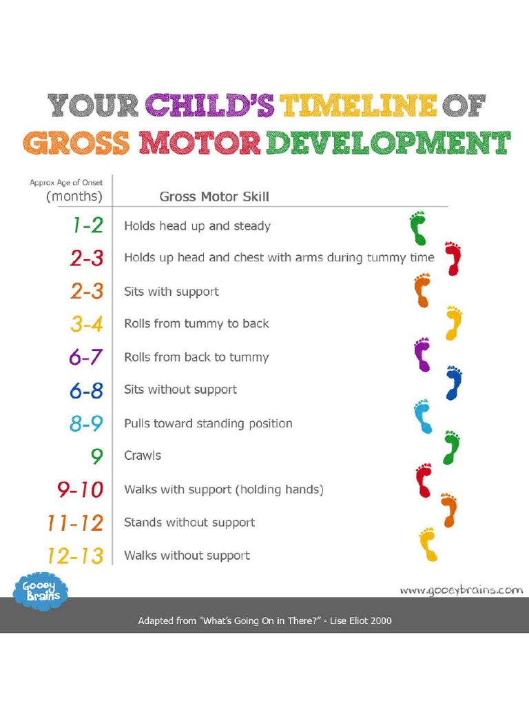 Gross Motor Skills | PDF