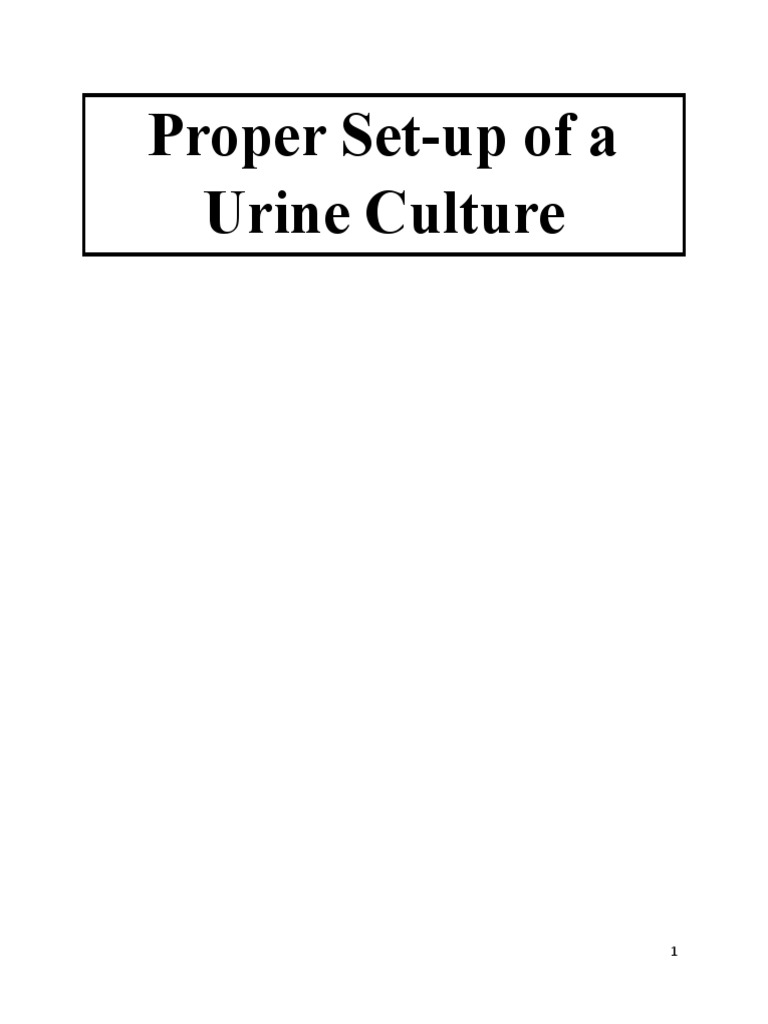 How To Project | PDF | Infection | Urinary Tract Infection
