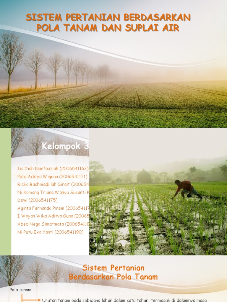 Pola Tanam | PDF