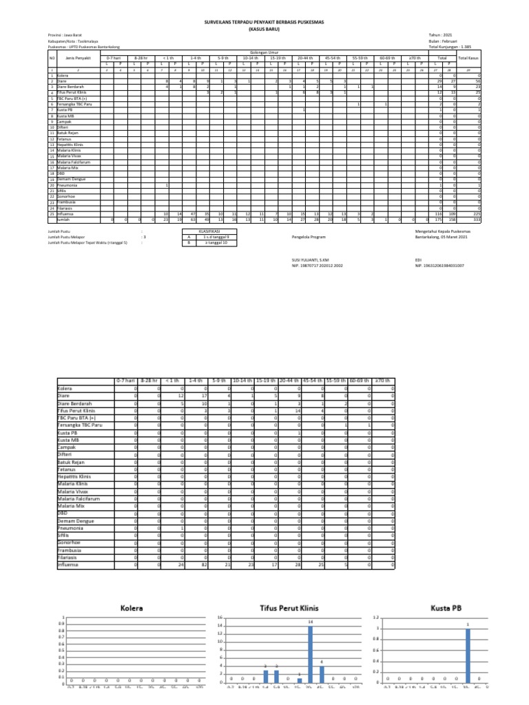 Laporan STP PKM Bantarkalong Februari | PDF | Animal Diseases ...