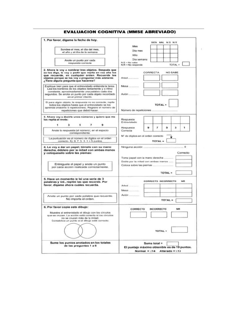 MMSE Abreviado | PDF