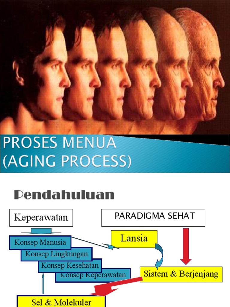 2 - Proses Menua 2021 | PDF