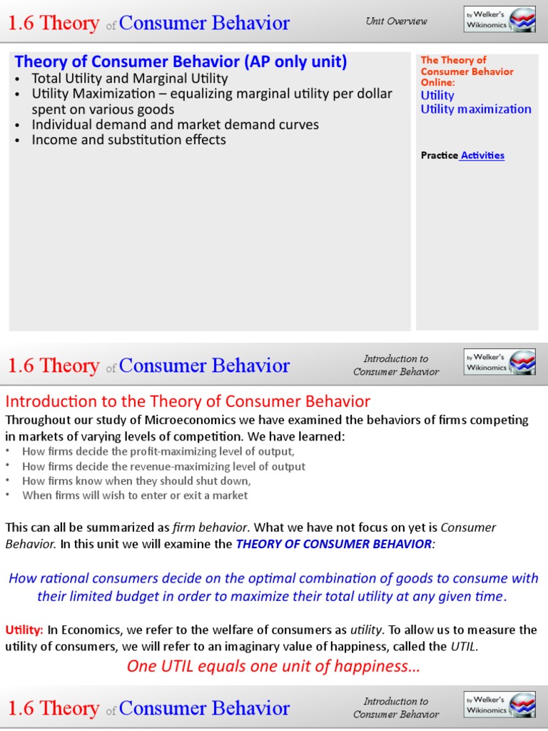 Understanding Consumer Behavior Theory | PDF | Utility | Demand