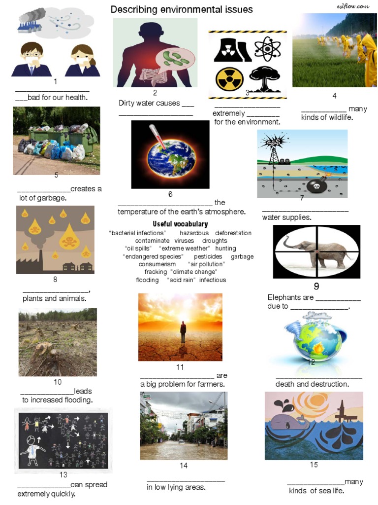 Describing Environmental Issues 2021 | PDF | Natural Environment ...