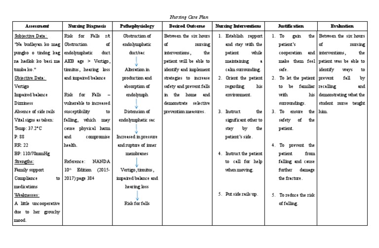 NCP (Risk For Fall) | PDF | Vertigo | Risk