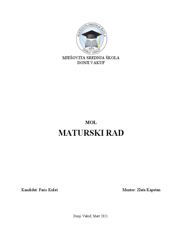 MATURSKI RAD Faris Ispravka | PDF