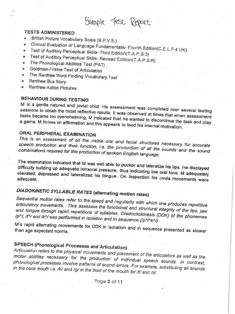 Sample Report Template | PDF