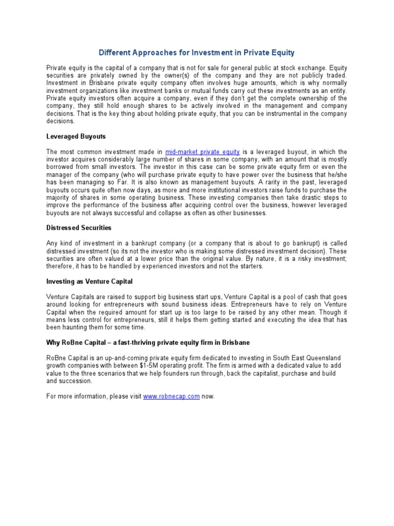 Investment Strategies in Private Equity | PDF | Private Equity ...