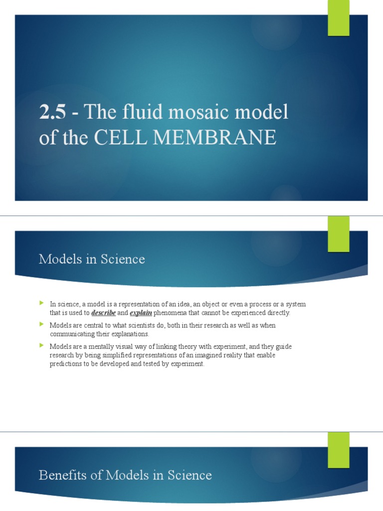 Models in Biology and The Fluid Mosaic Model of The CELL MEMBRANE | PDF