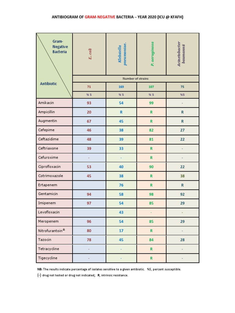 Gram-Negative Bacteria: Antibiogram of Bacteria - Year 2020 (Icu at ...
