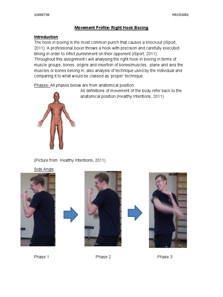 Movement Profile - Right Hook Boxing-Scribd | PDF | Elbow | Anatomical ...