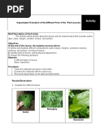 Leaf Dichotomous Key | PDF | Leaf | Branches Of Botany