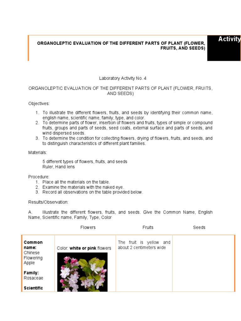 Organoleptic Evaluation of Plant Parts | PDF | Seed | Fruit