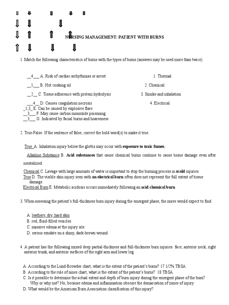 Worksheet BURNS | PDF | Burn | Pain