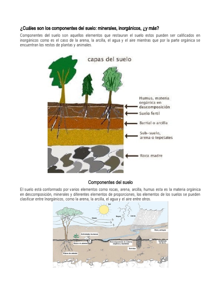Componentes Del Suelo | PDF | Suelo | Nutrientes