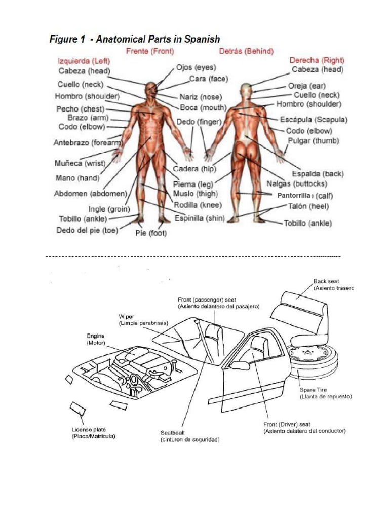 L3 Images For Recorded Statements | PDF