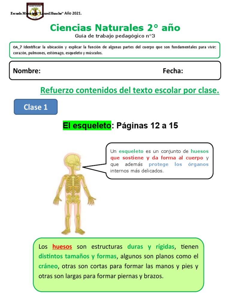 2° - Envío - Clase 3 El Esqueleto | PDF