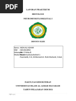 Laporan Praktikum Histologi Jaringan Dasar, Jaringan Epitel Dan Jaringan Ikat | PDF | Sains ...