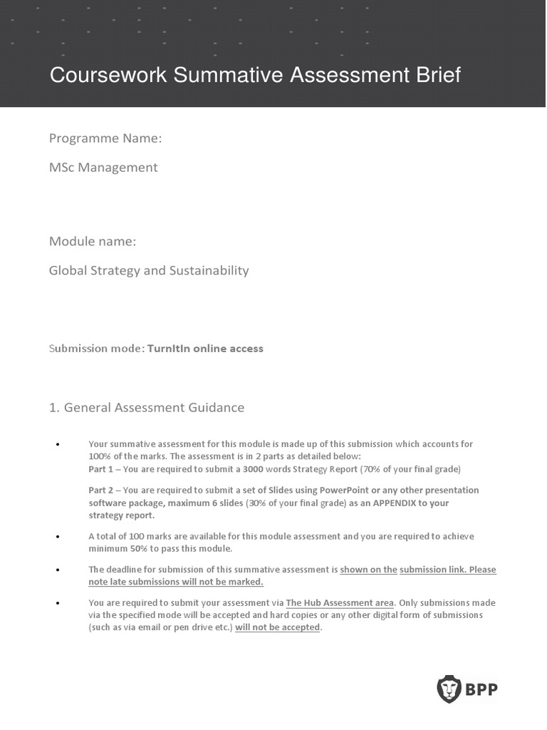 Summative Assessment Brief - Global Strategy and Sustainability | PDF | Corporate Social ...