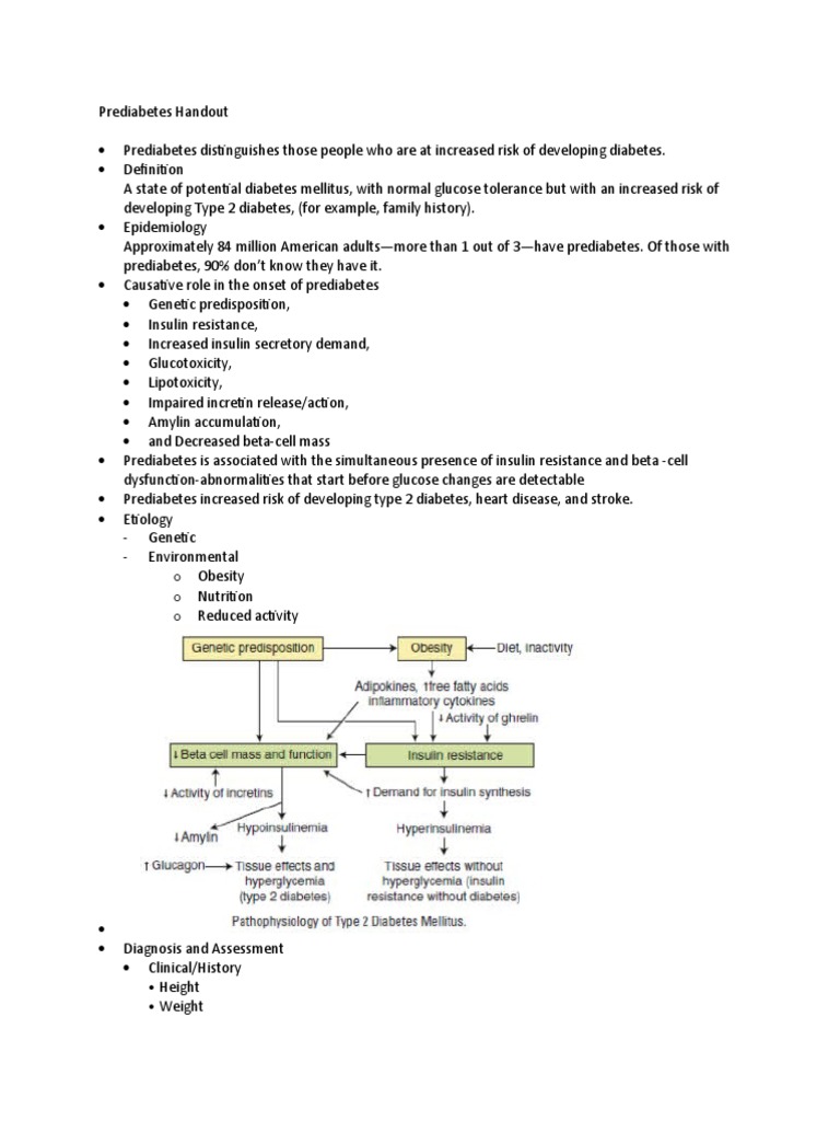Prediabetes Handout | PDF | Prediabetes | Insulin Resistance