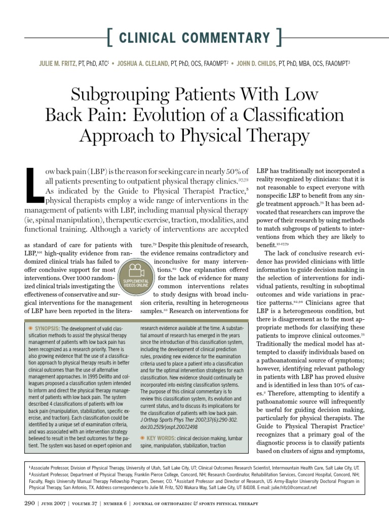 Subgrouping Patients With Low Back Pain | PDF | Physical Therapy | Pelvis