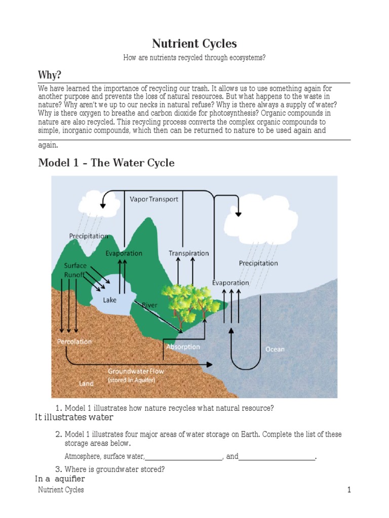 Nutrient Cycles: It Illustrates Water | PDF | Water Cycle | Water