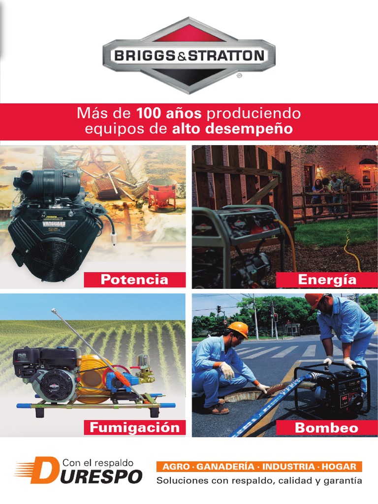 Catalogo Briggs 2019 | PDF | Caballo de fuerza | Máquinas