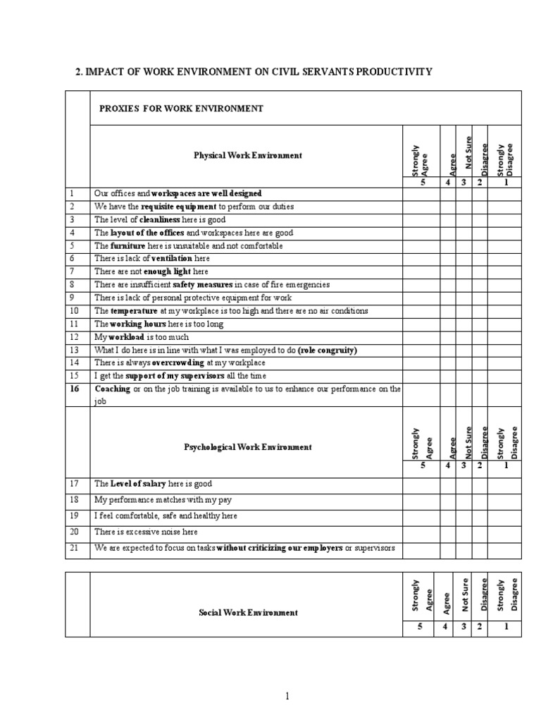 Work Environment On Productivity Questionnaire | PDF | Employment | Performance Appraisal