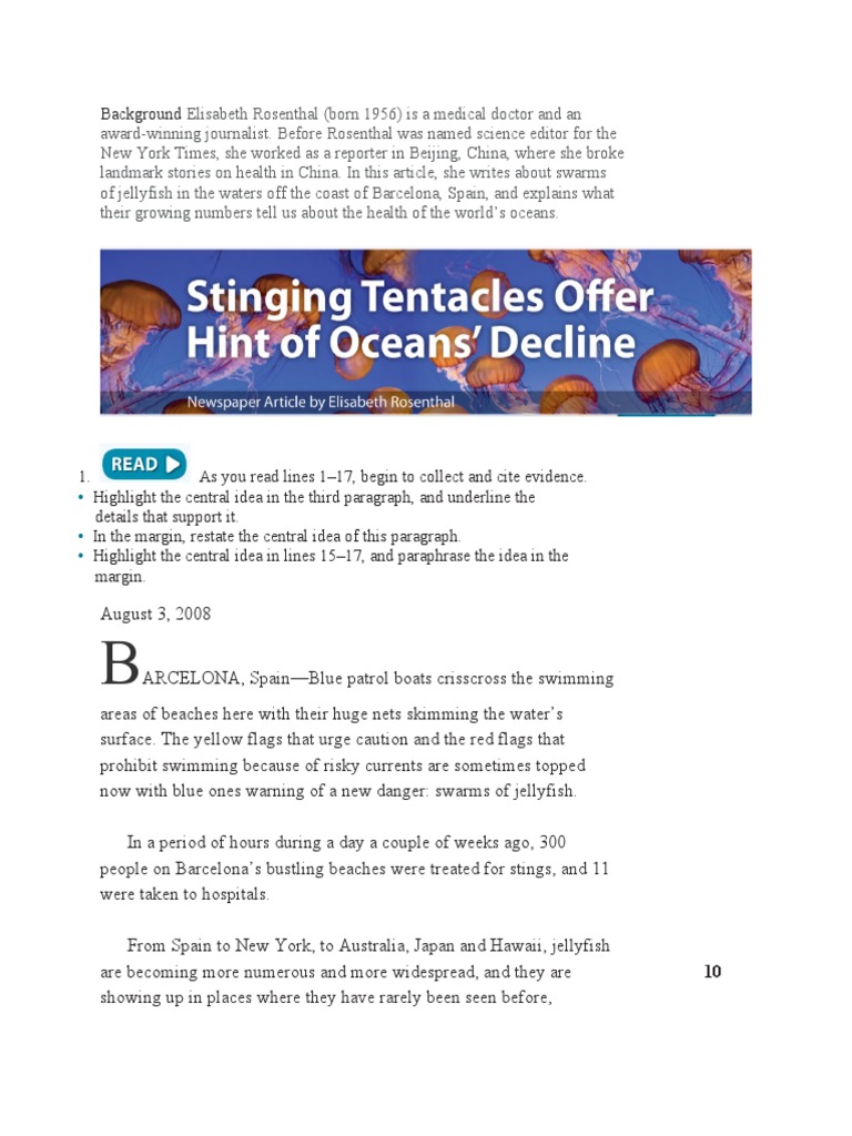 Jellyfish Reading Exercise | PDF | Sea | Coral Reef