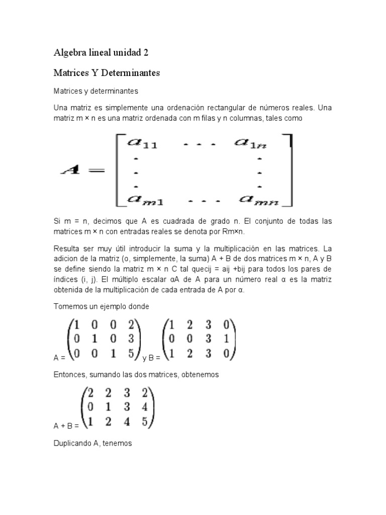 Algebra Lineal Unidad 2 3 4 | PDF | Matriz (Matemáticas) | Determinante