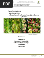 Gusano Soldado Spodoptera Exigua | PDF | Control biológico de plagas ...