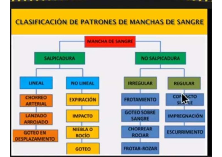 Clasificacion de Patrones de Manchas de Sangre - Cuadro Conceptual | PDF