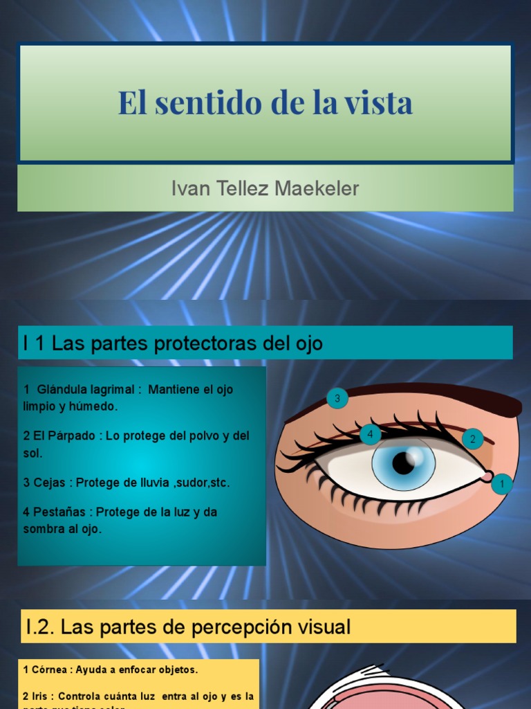 El Sentido de La Vista | PDF | Ojo | Percepción visual