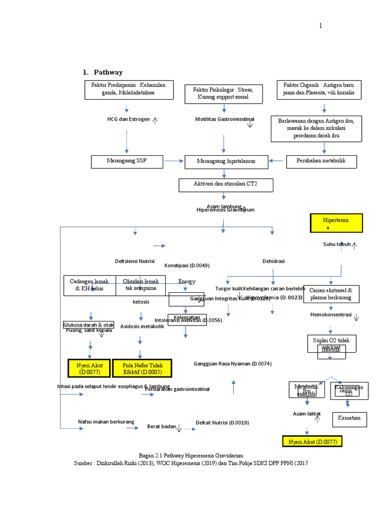 LP HEG - Pathways | PDF