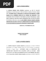 Carta Poder Simple | PDF | Política | Derecho